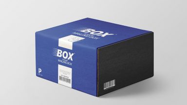 Free Shipping Delivery Carton Box Mockup - Free Package Mockups