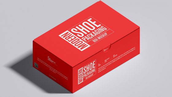 Free Product Packaging Box Mockup - Free Package Mockups