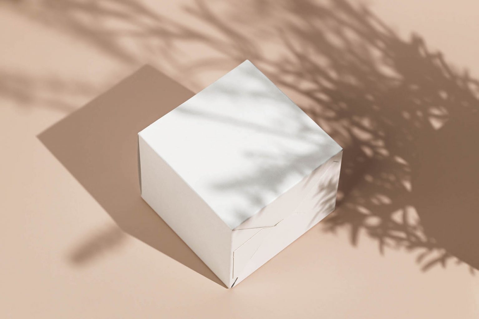 Free Shadow Overlay Packaging Box Mockup - Free Package Mockup