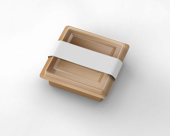 Free Square Food Packaging Container Mockup - Free Package Mockup