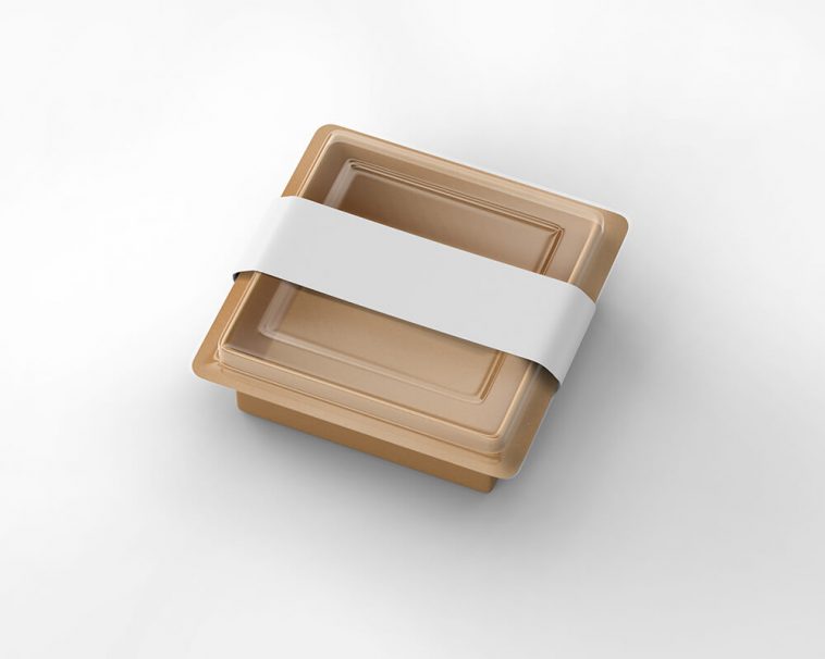 Free Square Food Packaging Container Mockup - Free Package Mockup