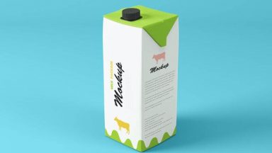 Free Front View of a Tetra Pack Milk Box Mockup - Free Package Mockups
